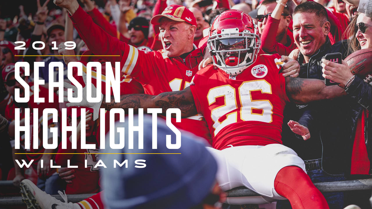 Damien Williams' 2019 Season Highlights