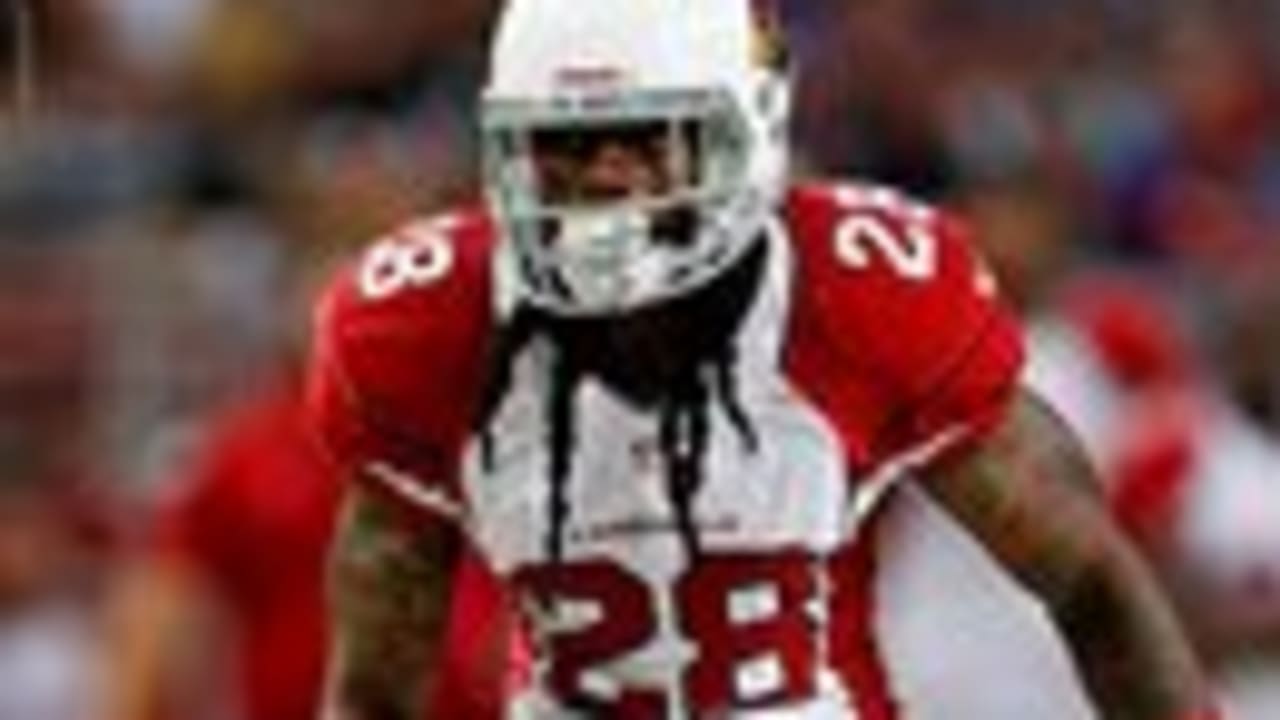 FREE AGENT SPOTLIGHT: GREG TOLER