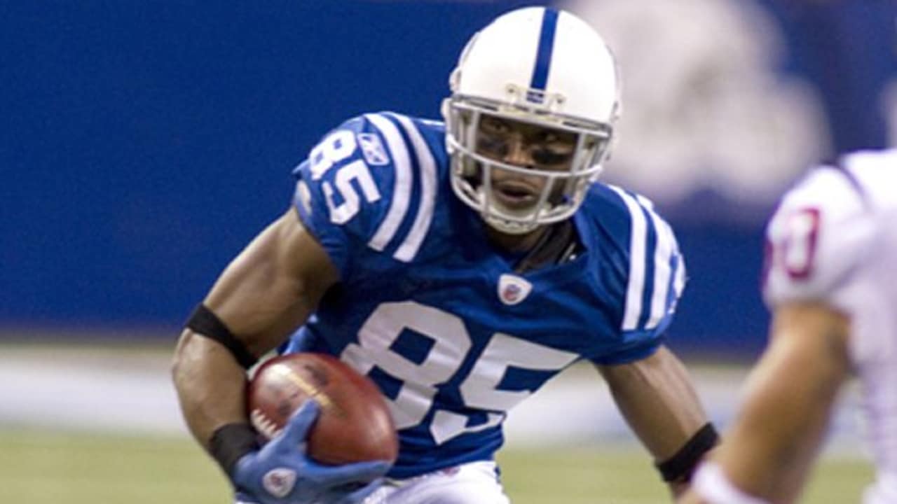 Pierre Garcon - 12/27/11