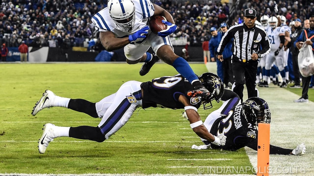 FLY FRANK FLY - INDvsBAL