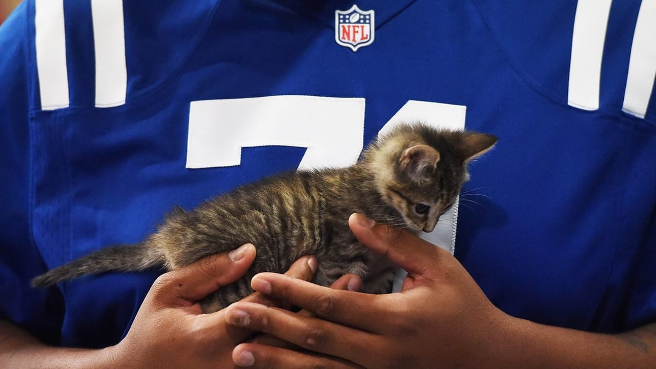 Community Tuesday - 2016 Humane Society of Indianapolis