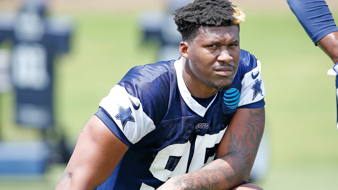David Irving por fin se desahoga y explica lo que ha estado pasando en ...