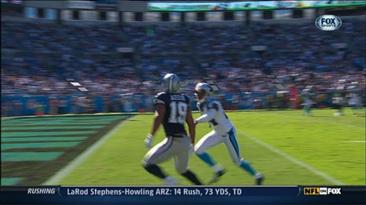 Miles Austin Catch & Touchdown