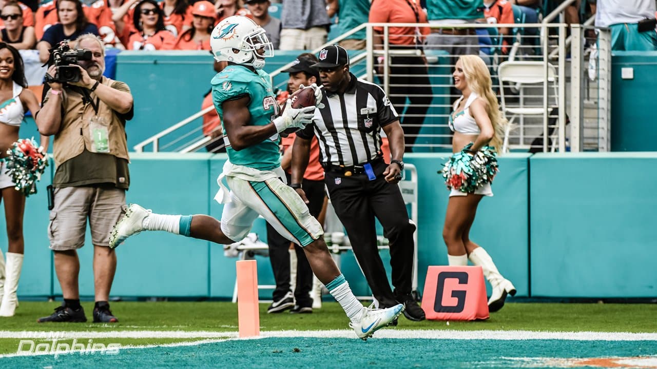 Kenyan Drake Highlights | Week 13