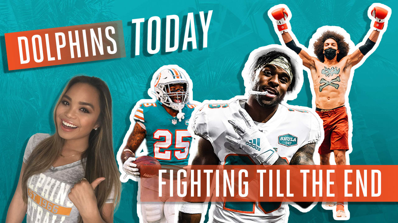Dolphins Today Episode 40: FIGHTING TILL THE END