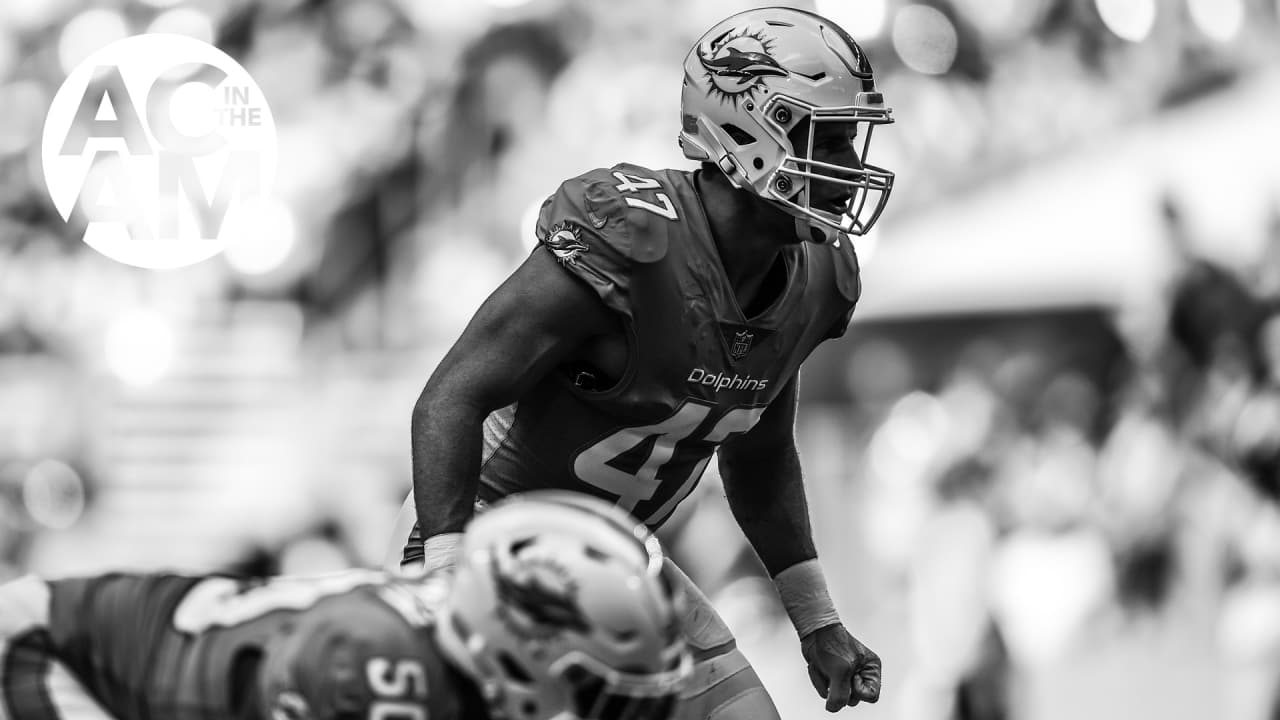 AC In The AM: Plenty For The Dolphins To Deal With