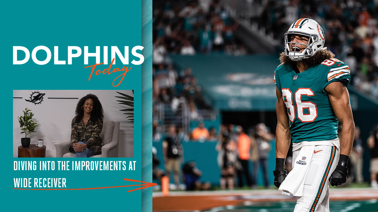 Dolphins Today - January 21