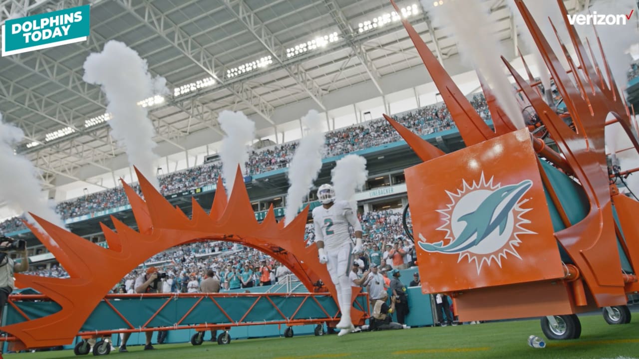 Dolphins Today - February 7