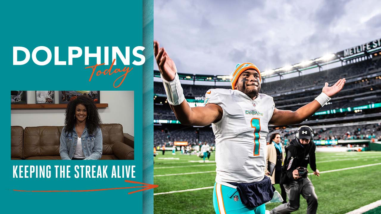 Dolphins Today - November 23