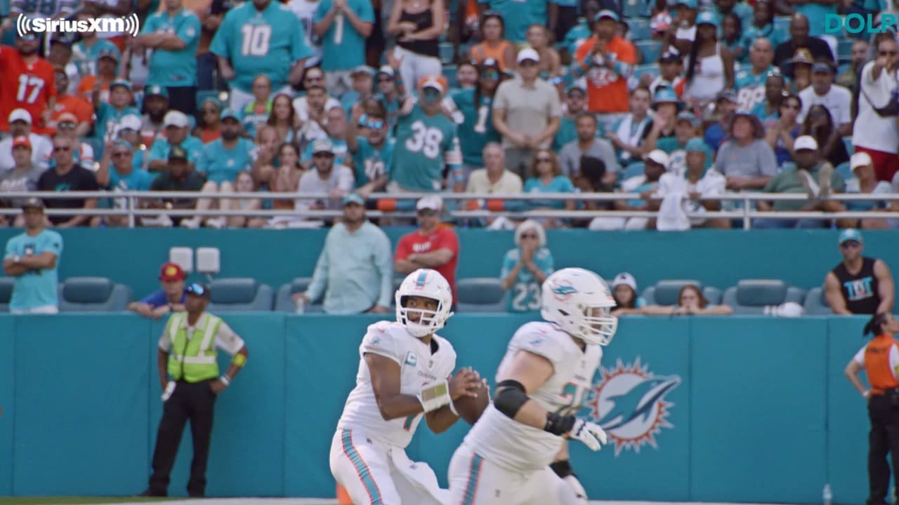 Dolphins Today - September 27