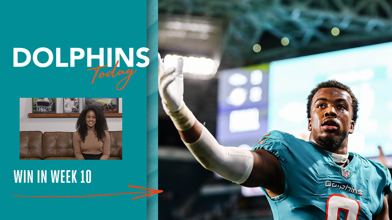 Dolphins Today - November 16