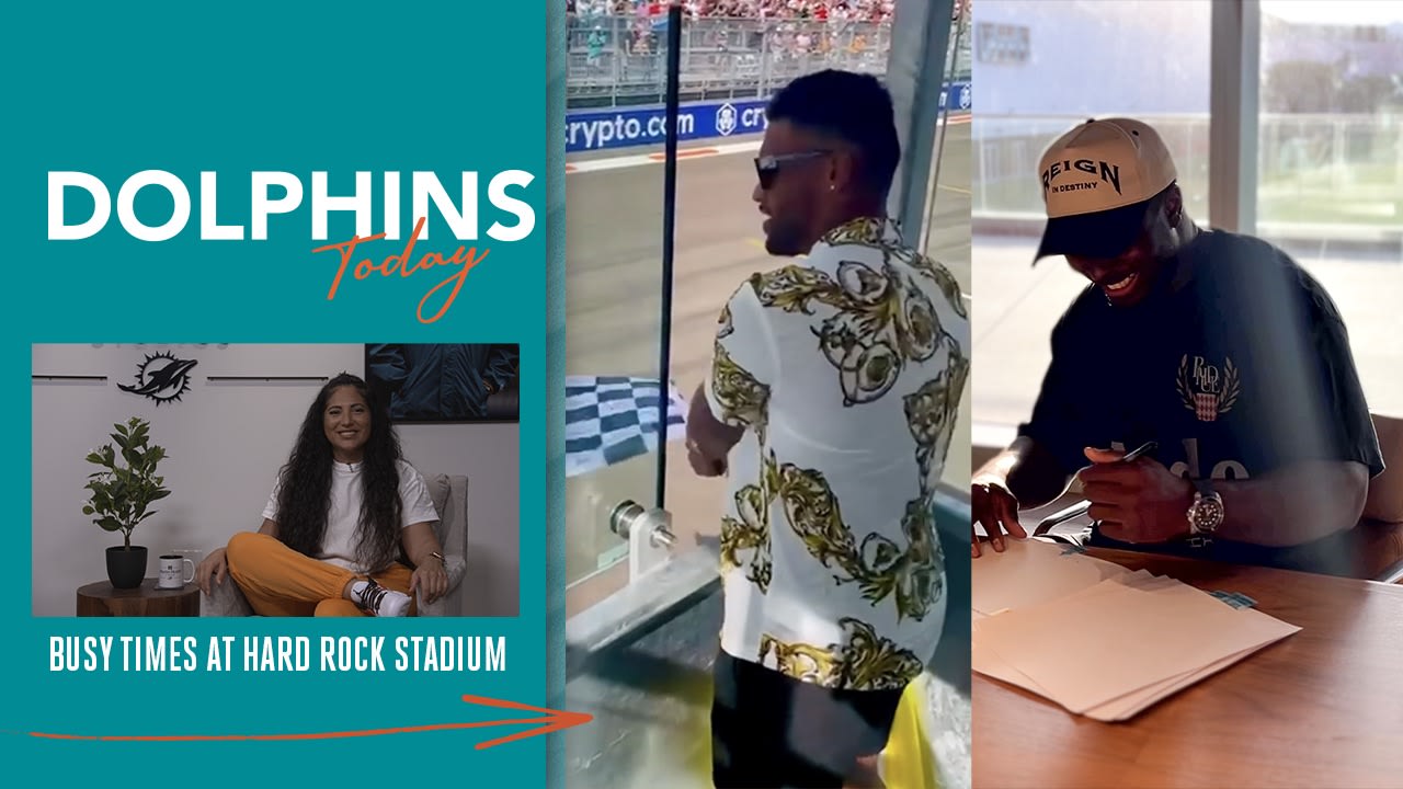 Dolphins Today - May 10