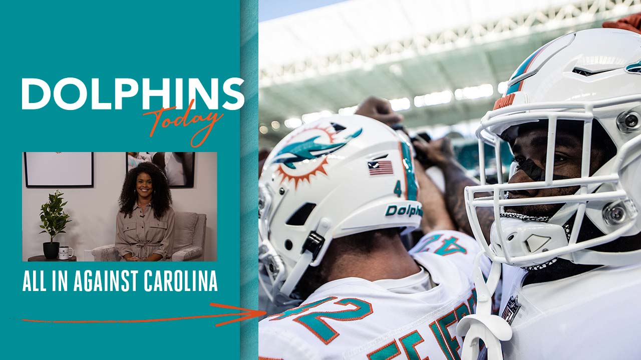 Dolphins Today - November 26