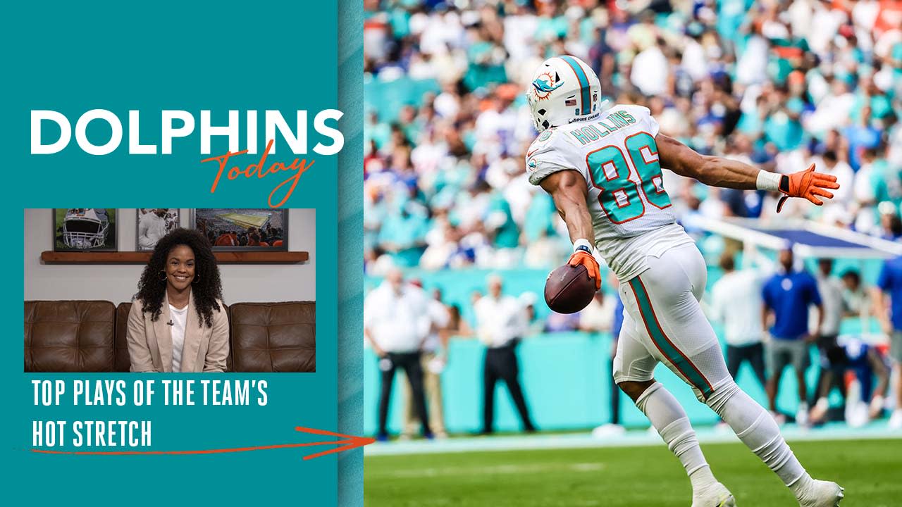 Dolphins Today - December 14