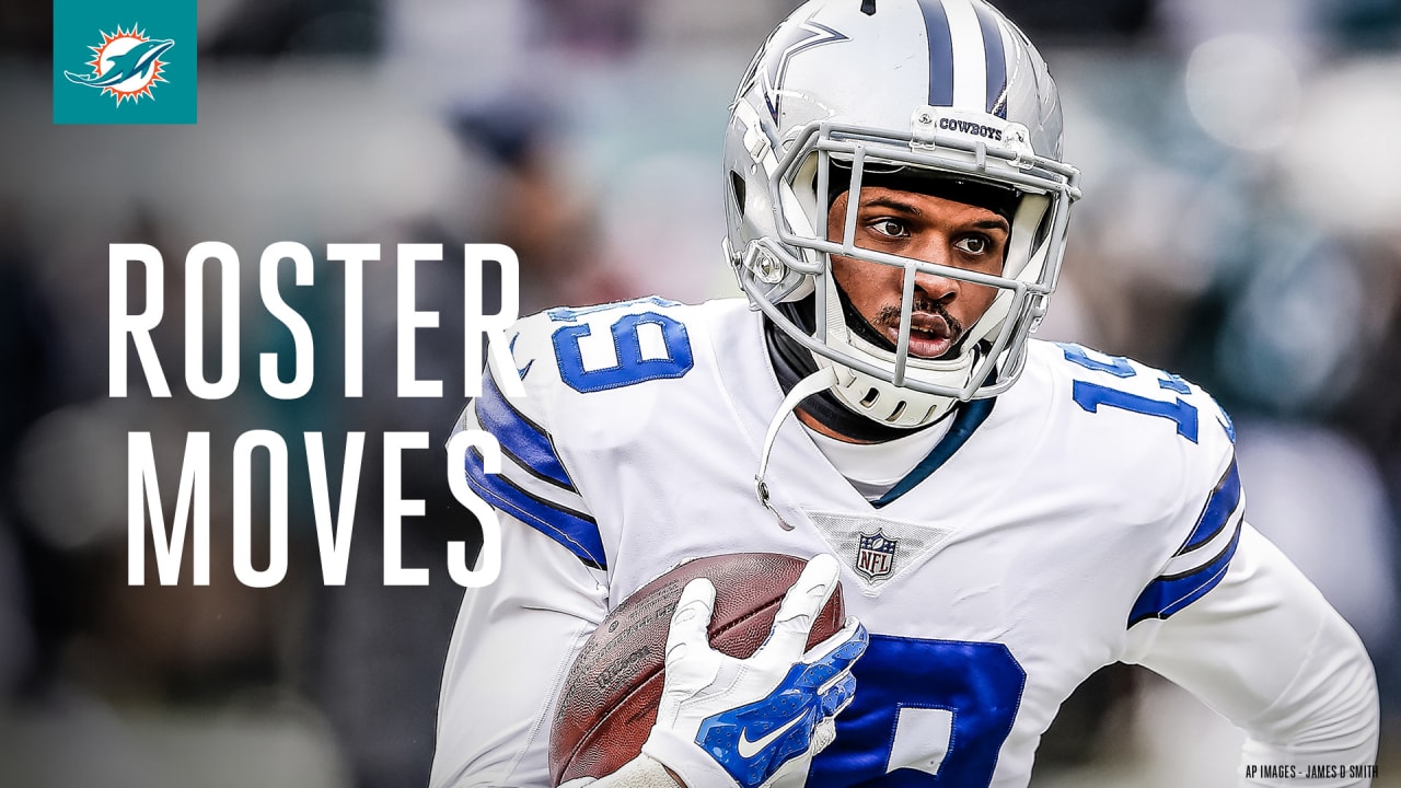Dolphins Sign Brice Butler