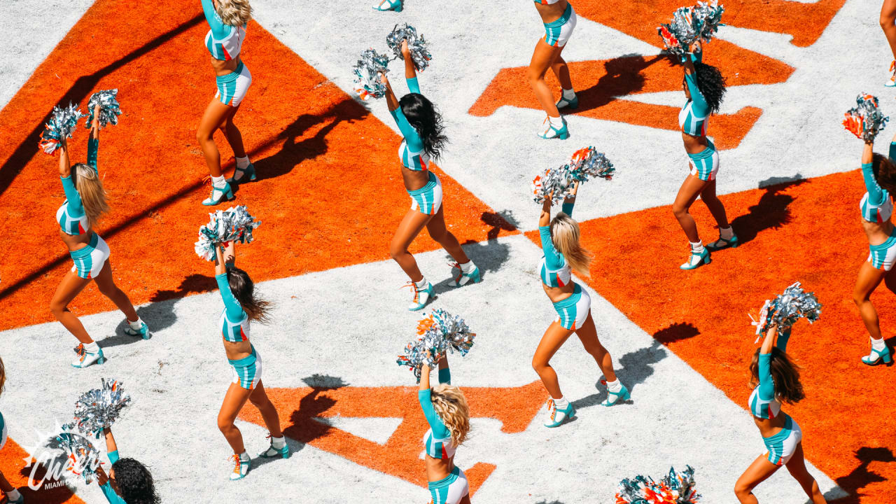 Photo Gallery: Dolphins Cheer | Patriots vs. Dolphins