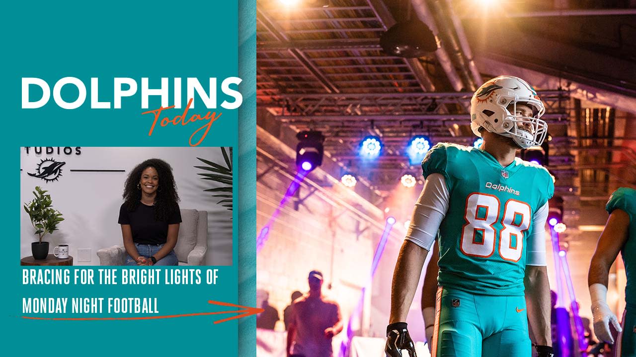 Dolphins Today - December 23