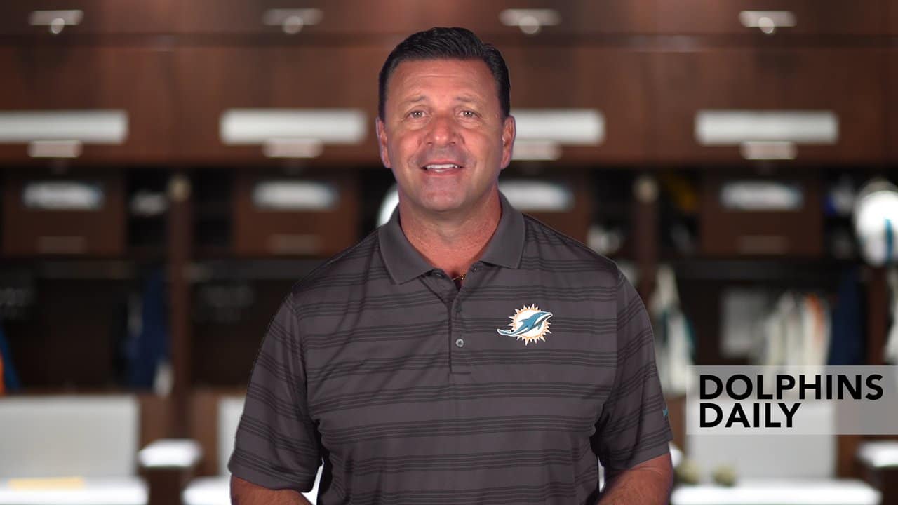 Dolphins Daily: August 11th, 2017