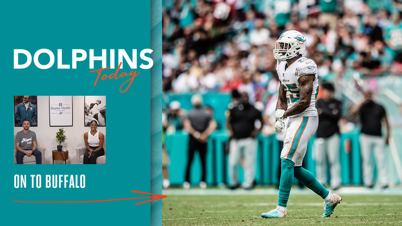 Week 8 - Dolphins Today