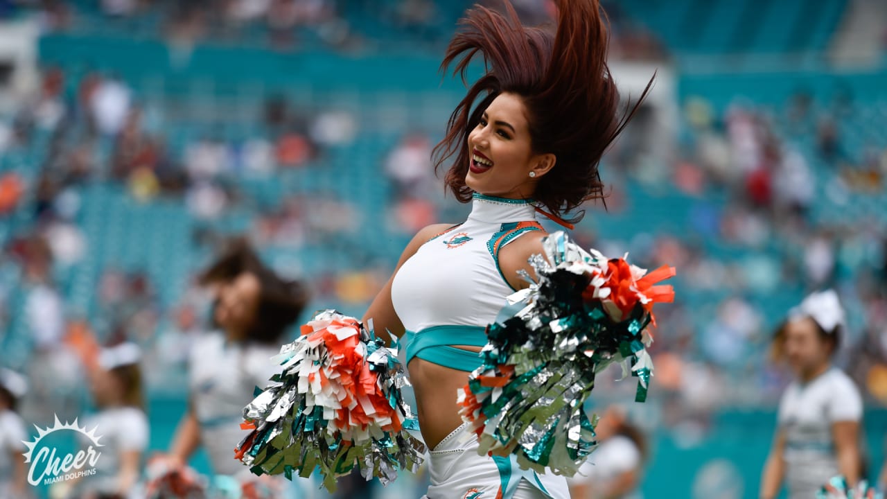 Photo Gallery: Dolphins Cheer | Washington vs. Dolphins