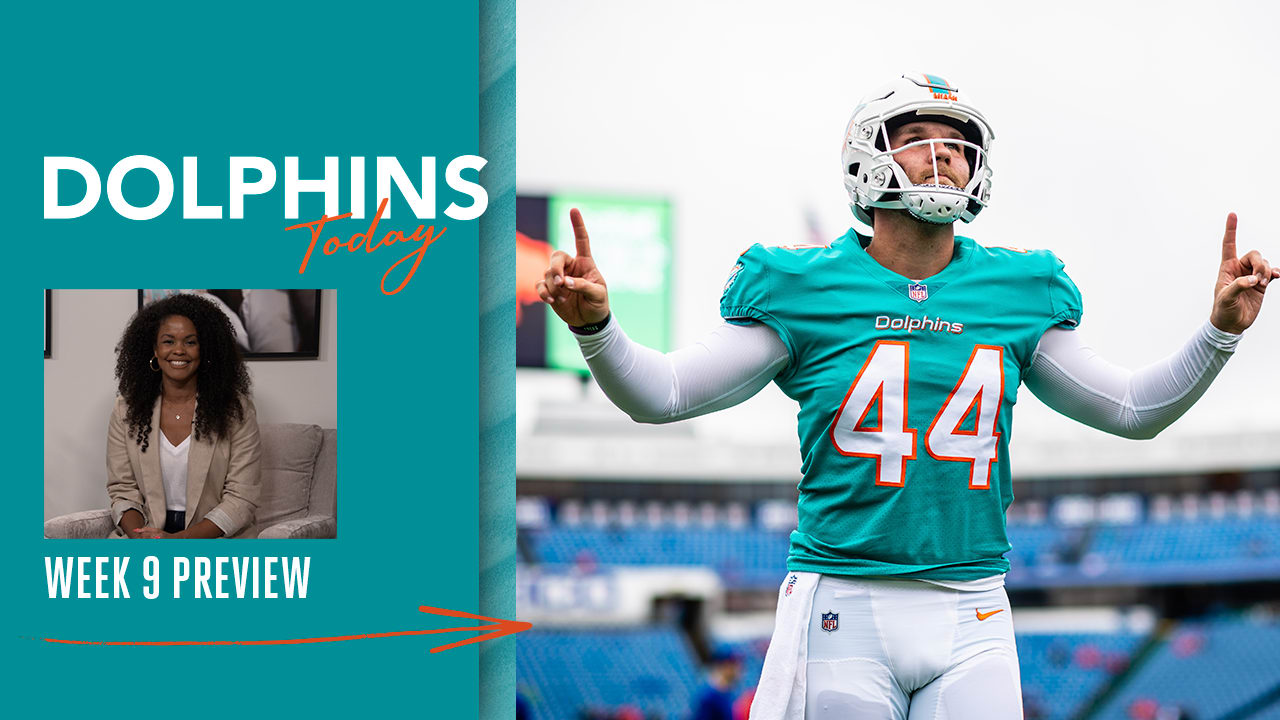 Dolphins Today - November 5