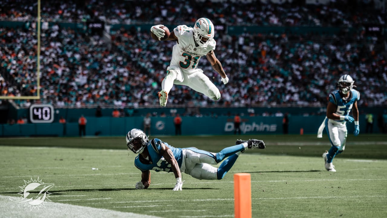 Miami Dolphins vs. Carolina Panthers Gameday Photos
