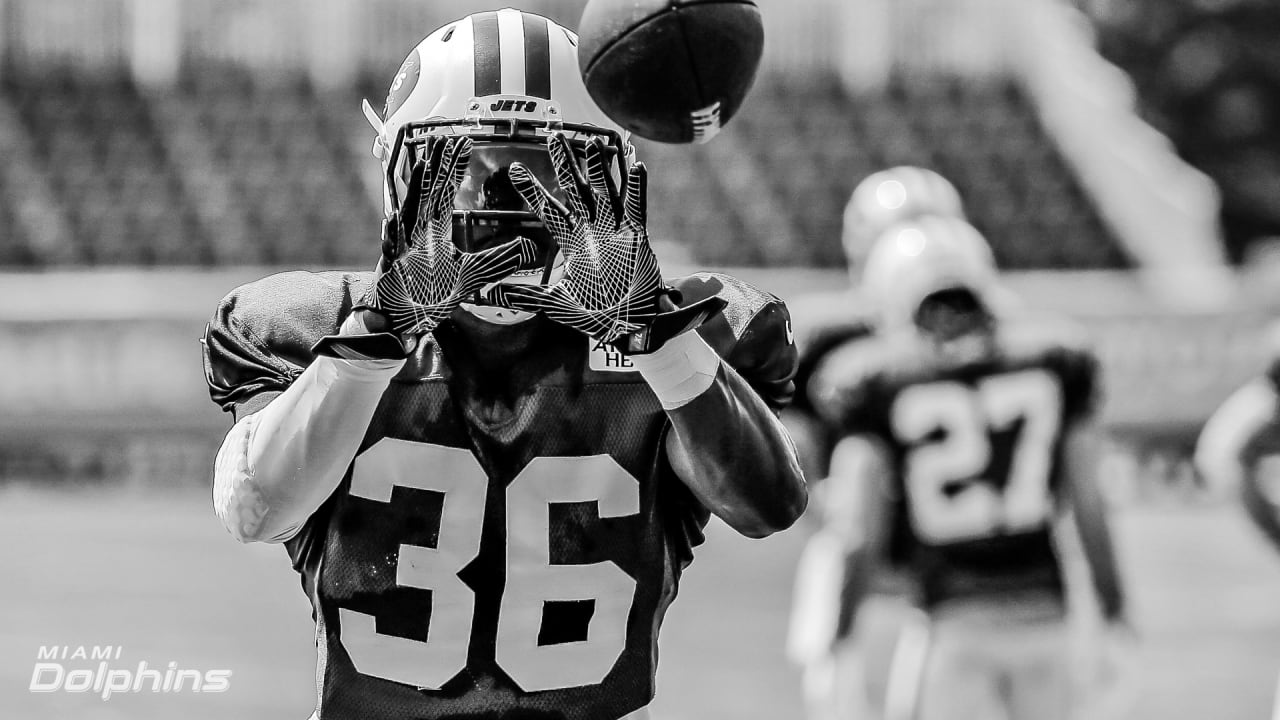 Dolphins Sign Safety Doug Middleton