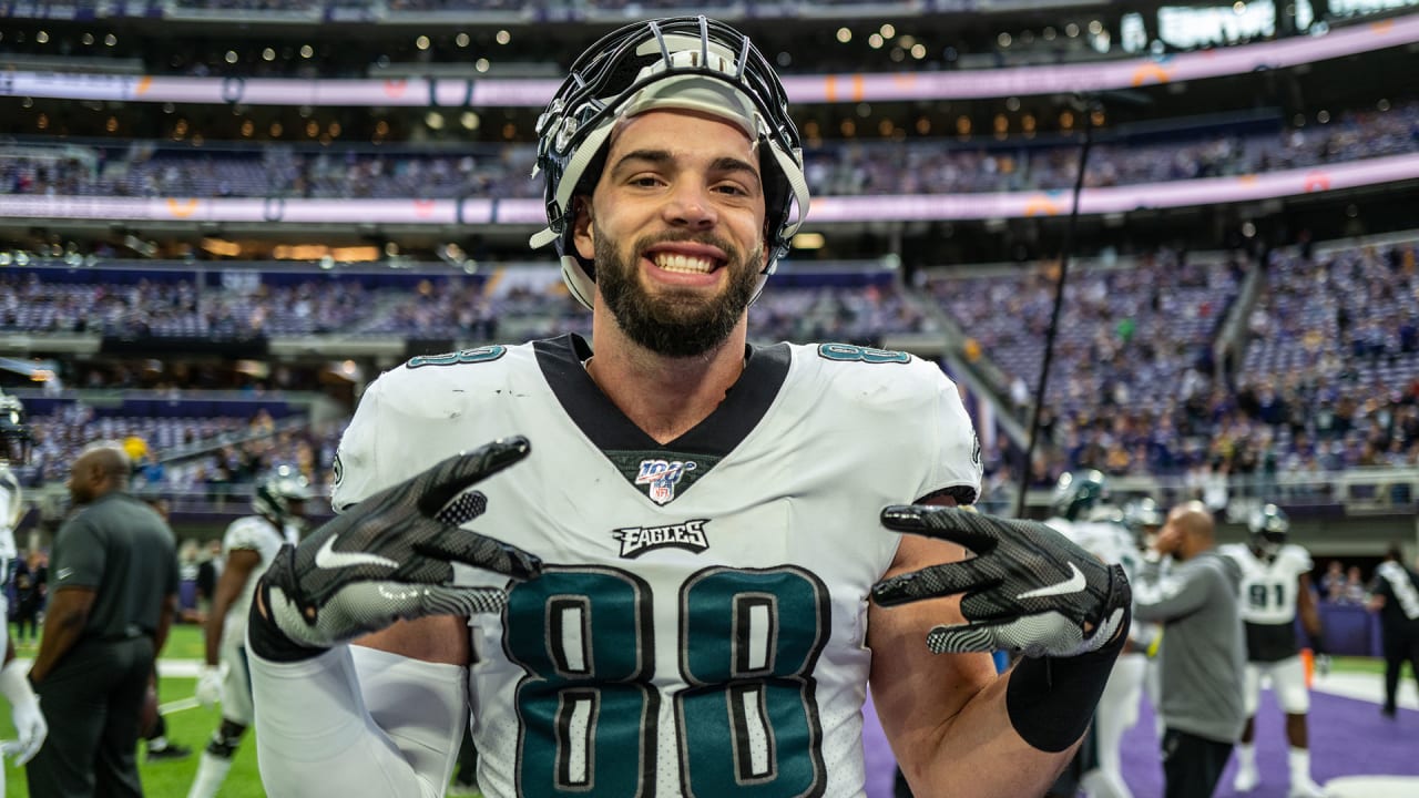 Dallas Goedert 2019 highlights