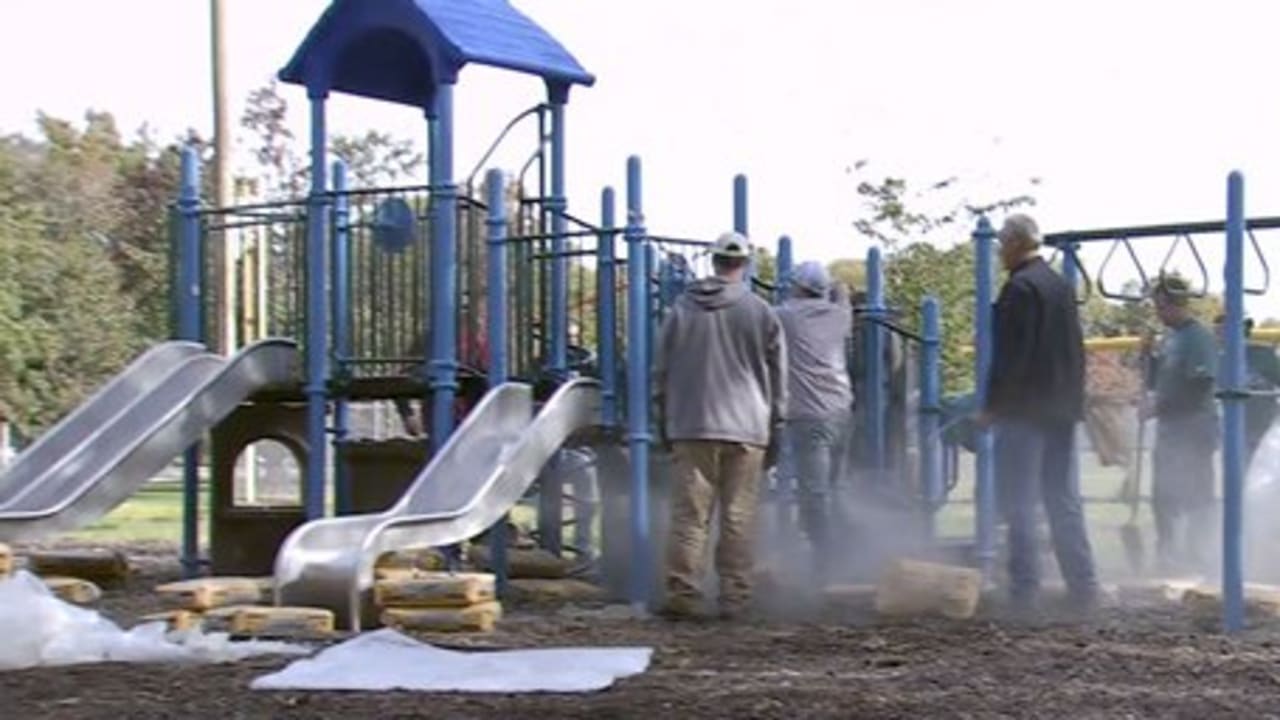 Eagles Build A Playground