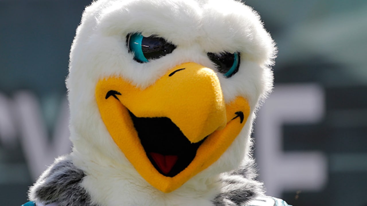 Swoop second gallery