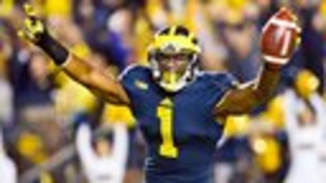 Meet The Prospect: WR Devin Funchess