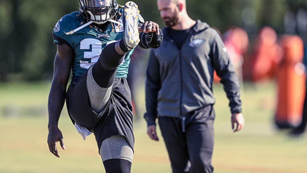 LeGarrette Blount, Jay Ajayi Embrace Sharing The Workload In Eagles ...
