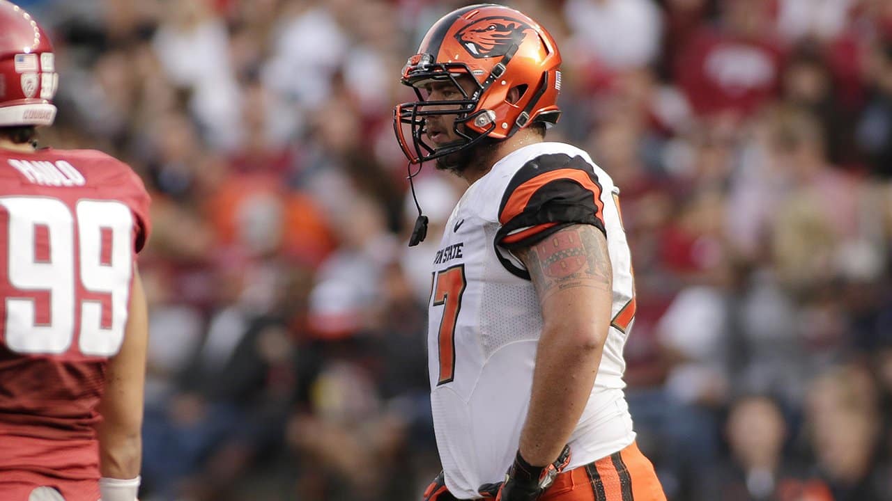 Sean Harlow College Highlights