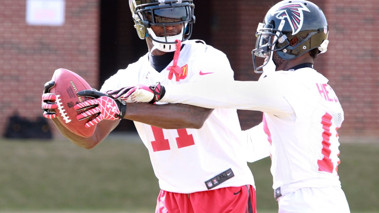 Falcons at Work - November 13