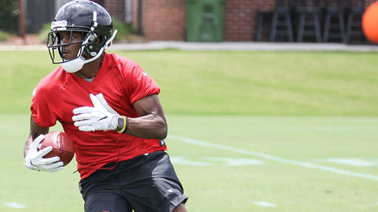 Falcons Sign WR Reggie Davis and DL Taniela Tupou