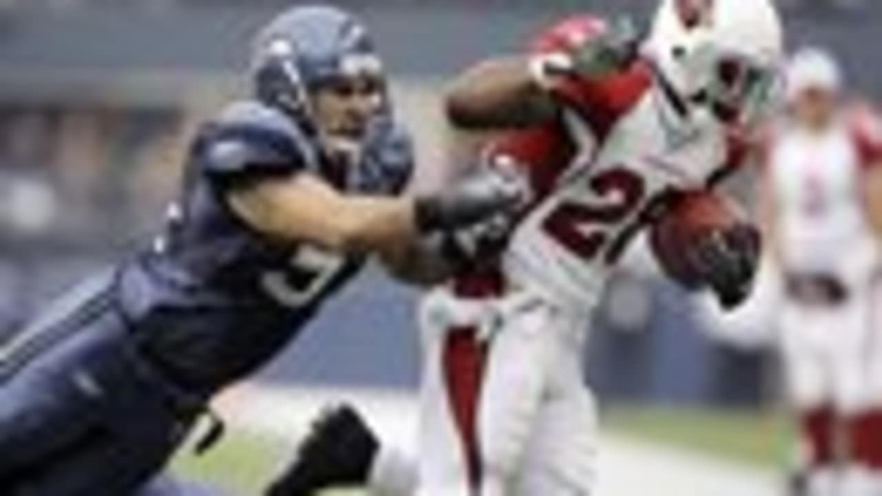 New Falcons In The Fold