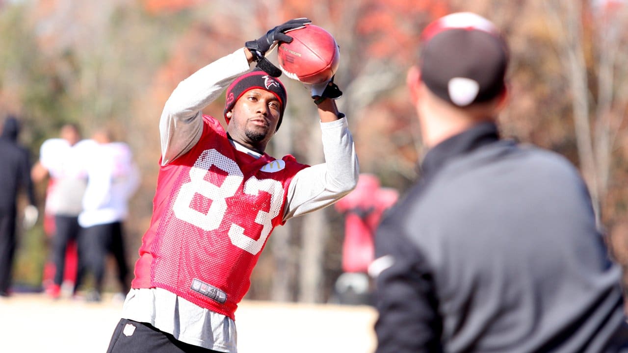 Falcons at Work - November 26