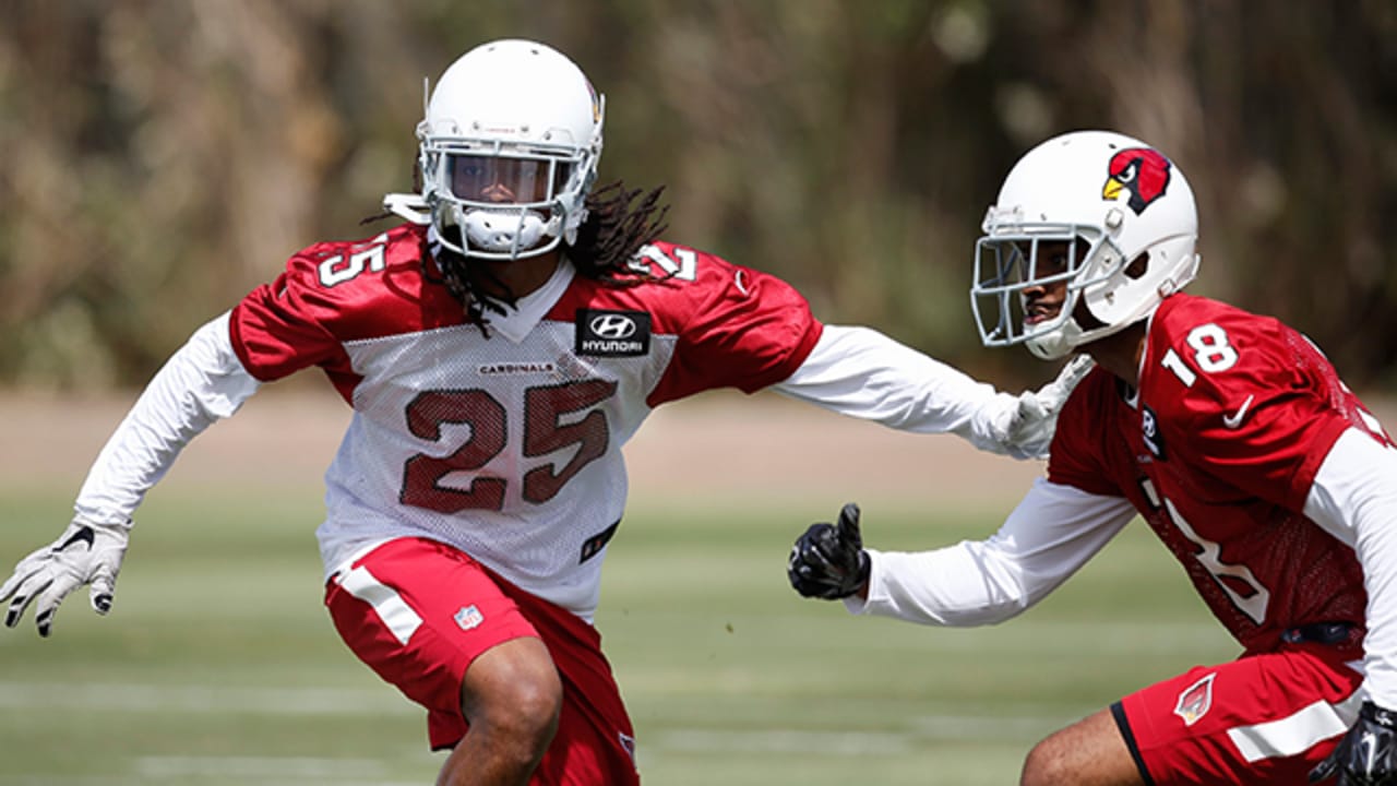 Falcons Sign WR Chris King to Camp Roster