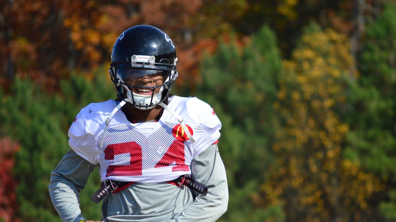 Falcons at Work - November 12