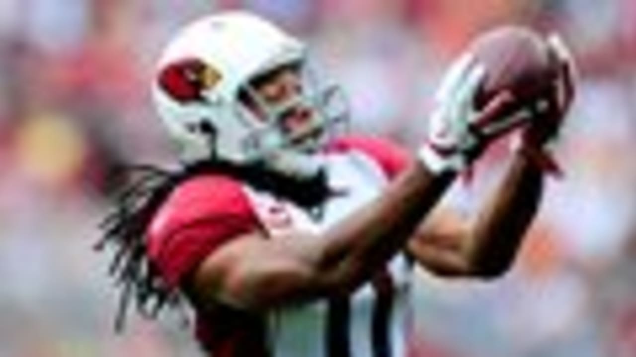 WR Larry Fitzgerald