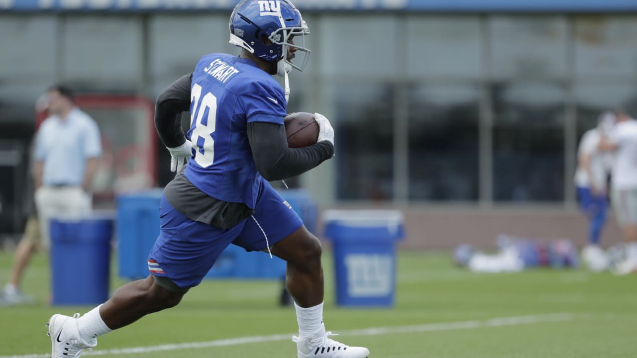 Jonathan Stewart a veteran presence in RB room