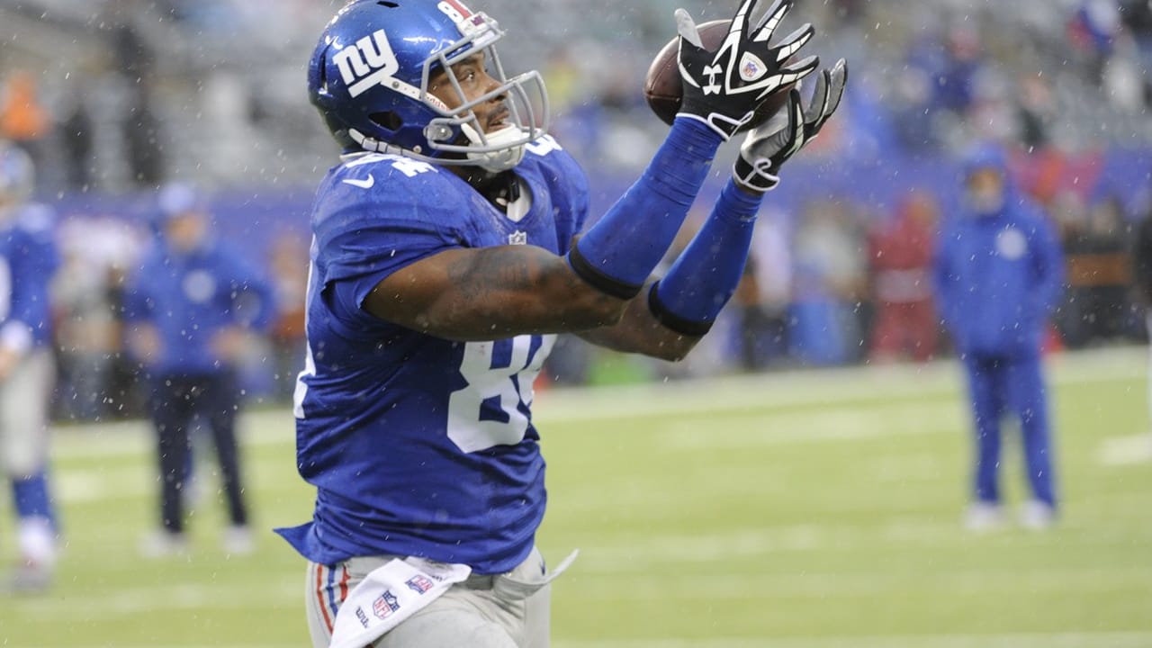 Best Of: TE Larry Donnell