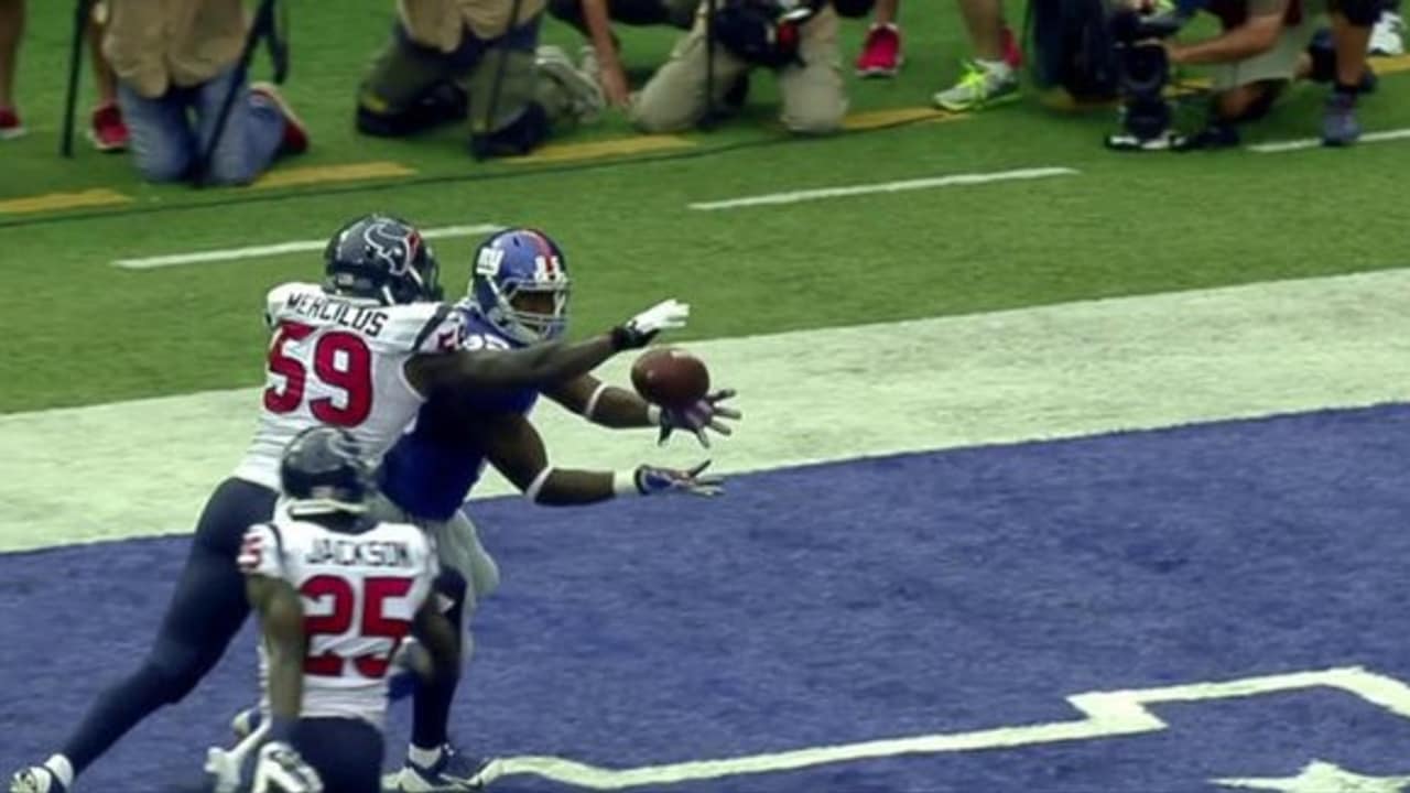 Tight end Daniel Fells 9-yard touchdown catch