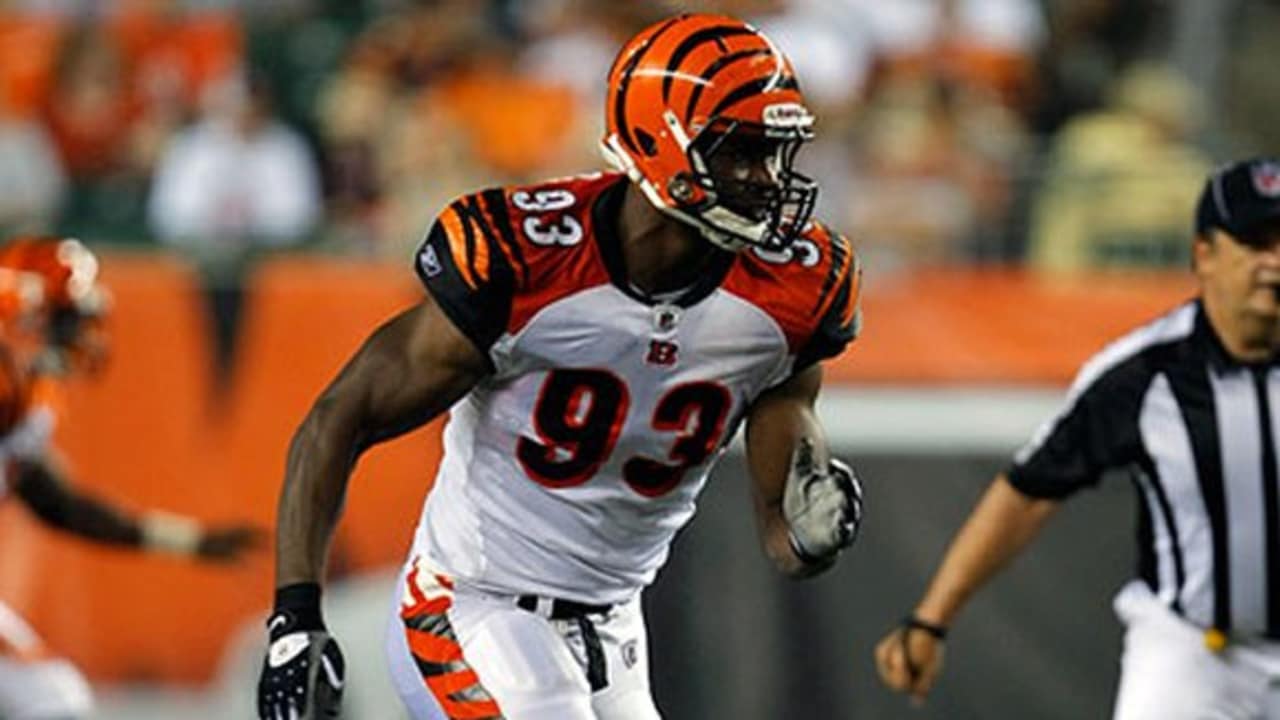 Free Agent Profile: DE Michael Johnson