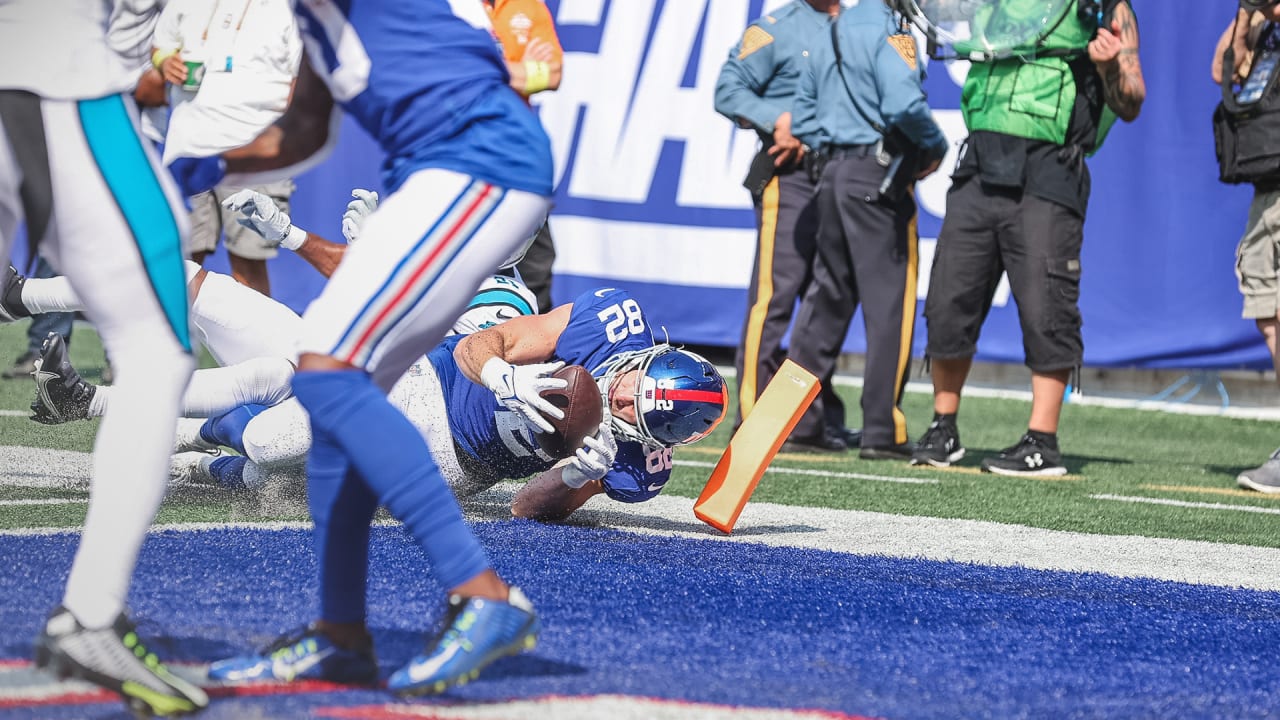 Daniel Bellinger scores first career TD | Giants vs. Panthers Highlights