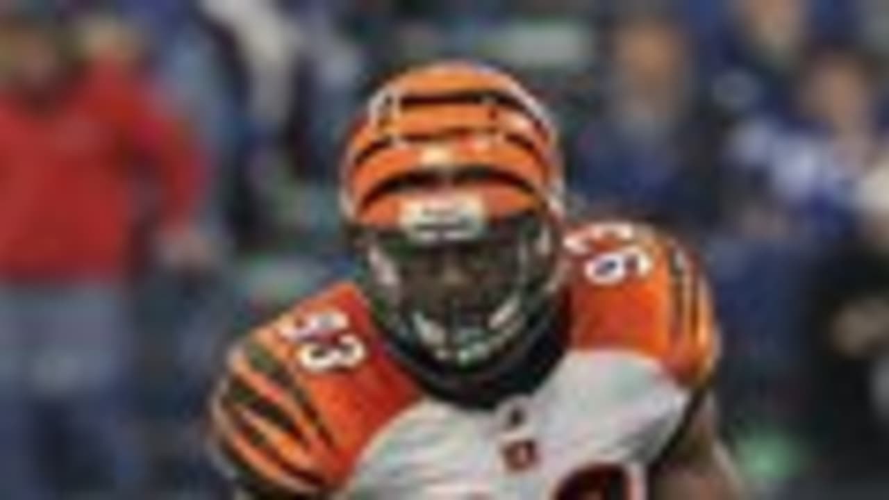 Free Agent Profile: DE Michael Johnson