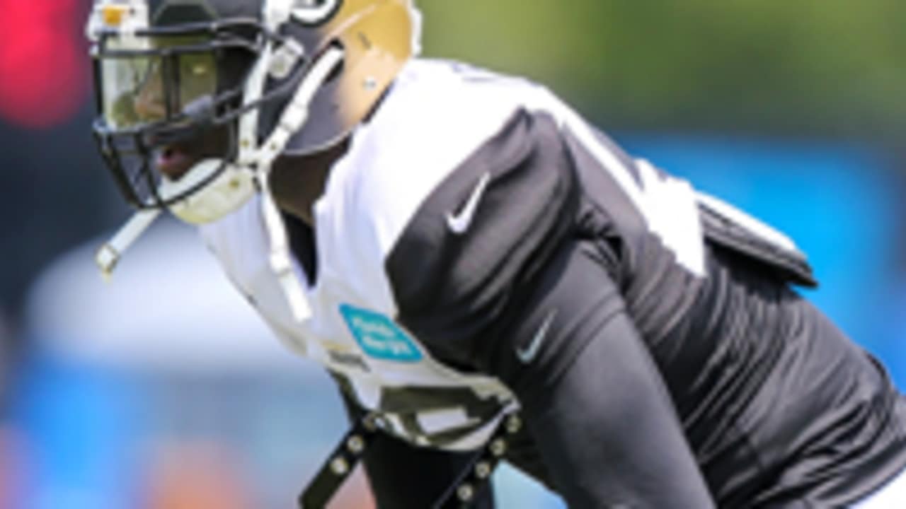 Jaguars release S Winston Guy, Jr.