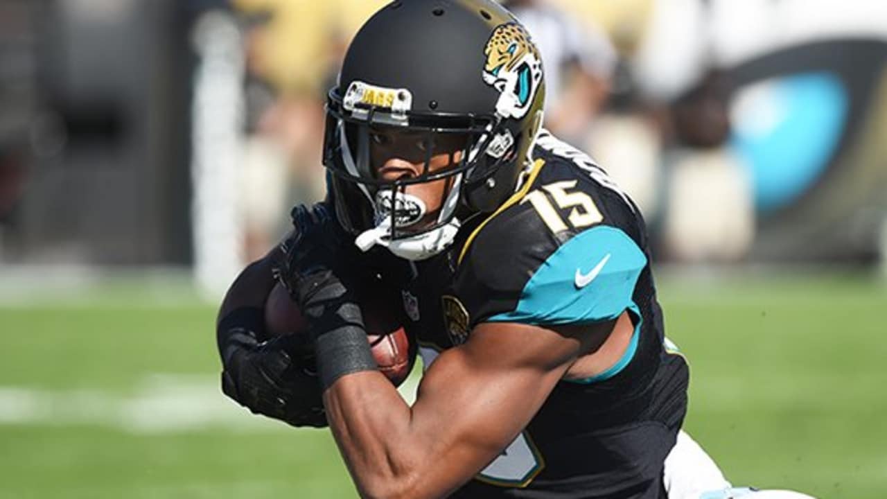 Allen Robinson Highlights
