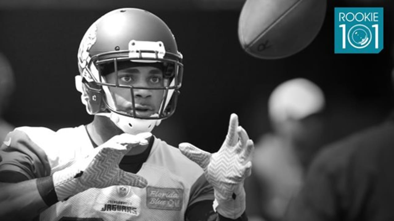 Rookie 101: Dwayne Gratz