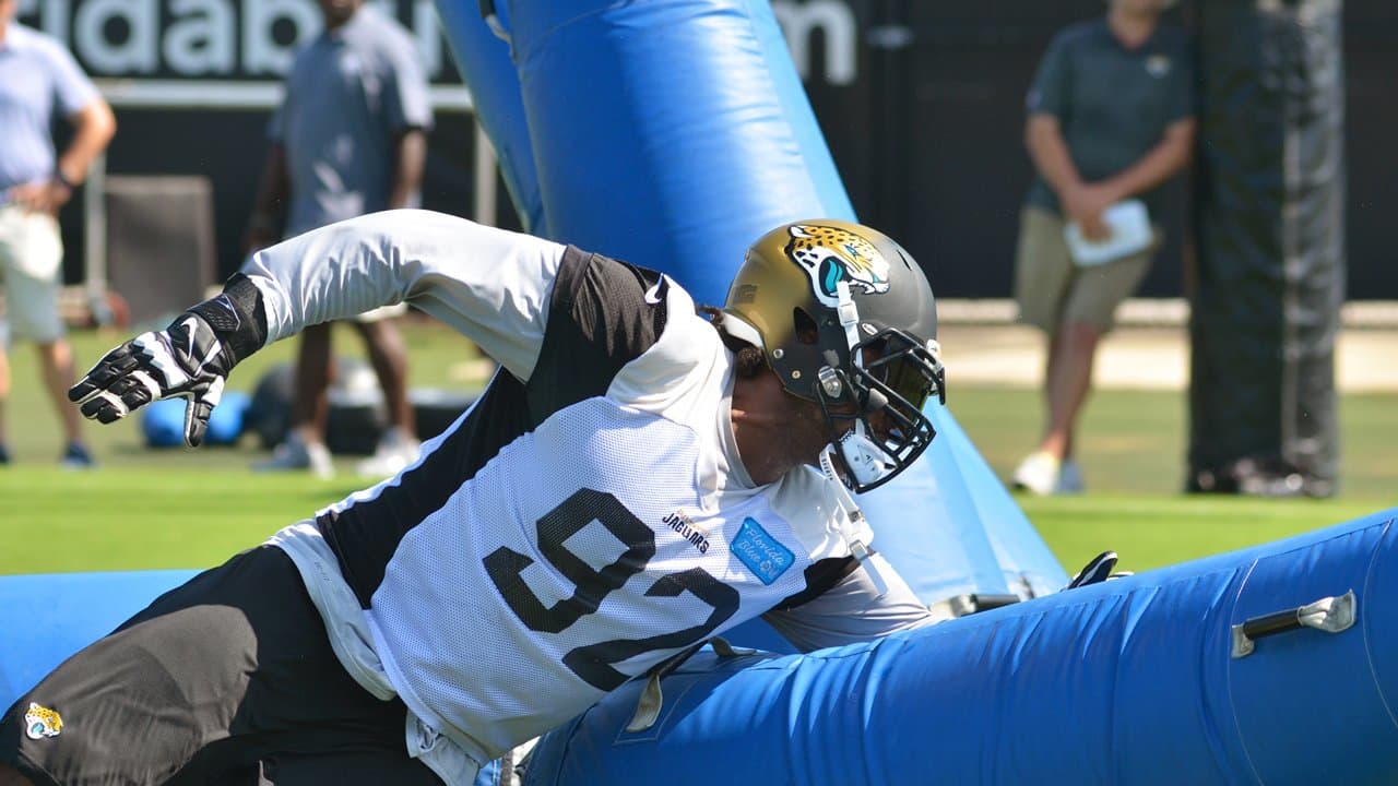 Best of 2015 Offseason: Defensive linemen